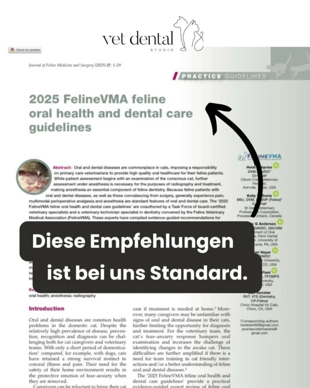 Vetdental – Professionelle Tierzahnmedizin in der Schweiz